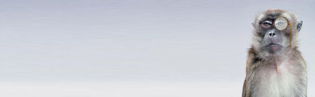 La semana en artículos (21 al 27 de junio) | El Pixel Ilustre